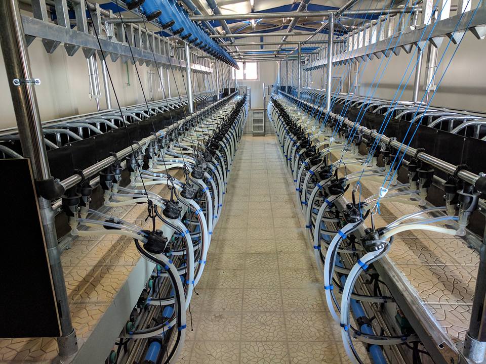 SPNA – Επίσημος διανομέας για Κύπρο και Ελλάδα της InterPuls S.p.A.